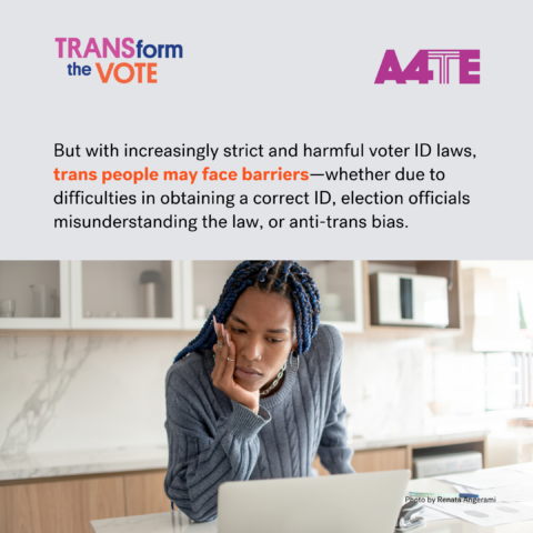 Home - Trans Empowerment Project